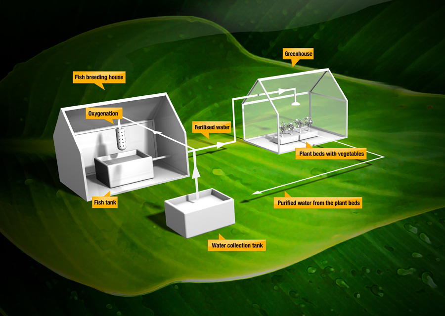 En annorlunda ekologisk odling i Härnösand | CleanTech Demonstration ...